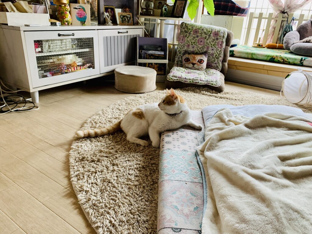 The special woman living in the countryside. | Maikoism